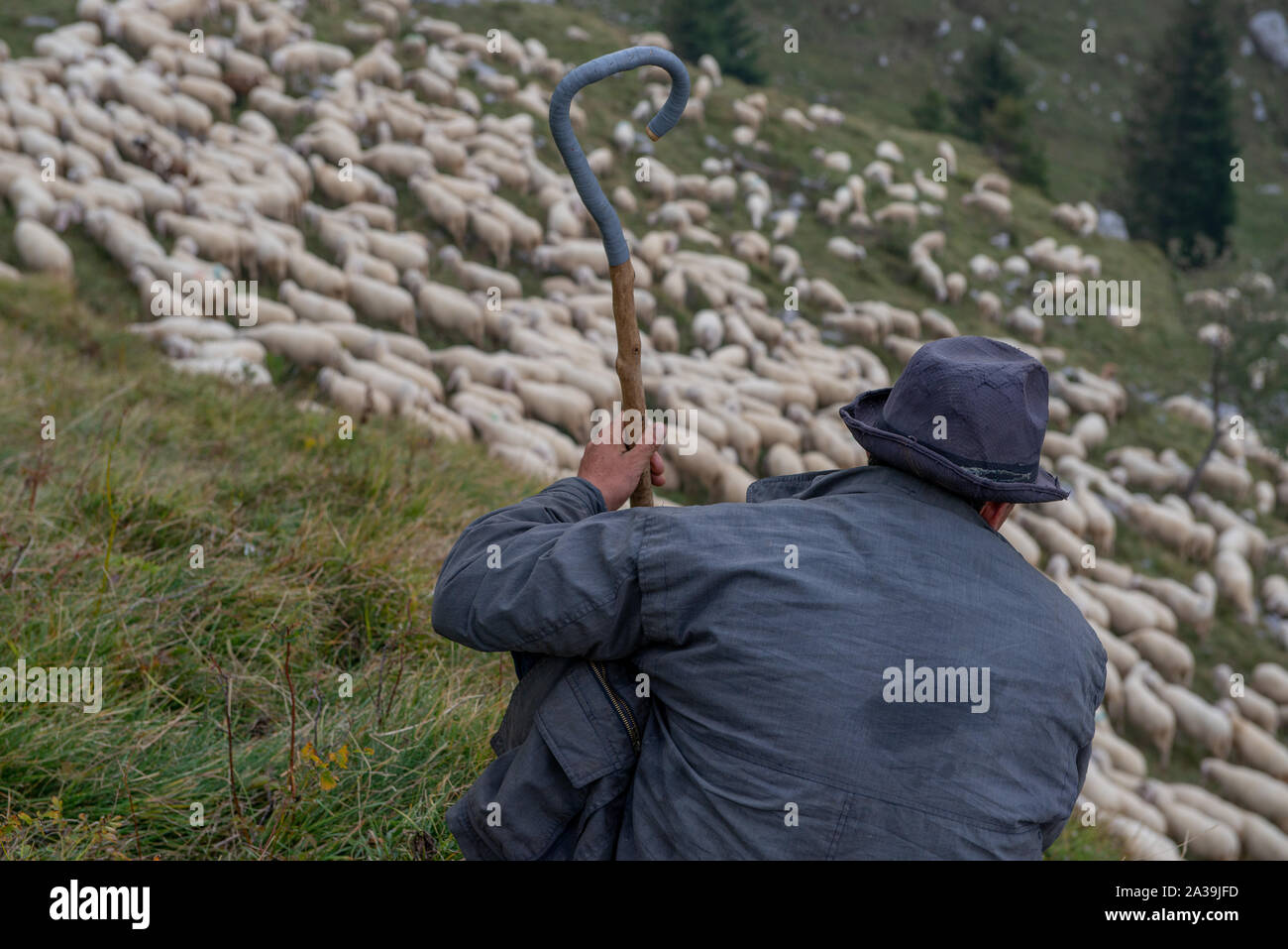 Farm animal controls hi-res stock photography and images - Alamy