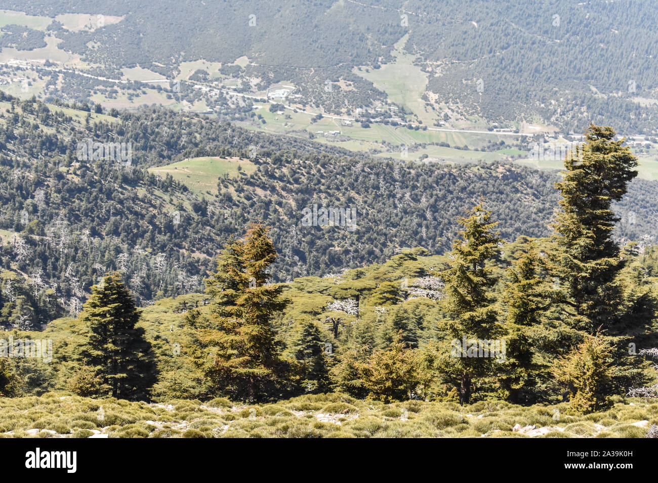 Aures algérie hi-res stock photography and images - Alamy