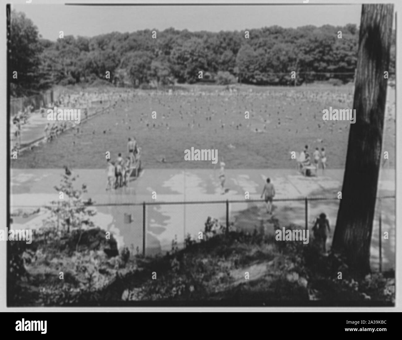 Saxon Woods Bathing Pool, White Plains, New York Stock Photo - Alamy