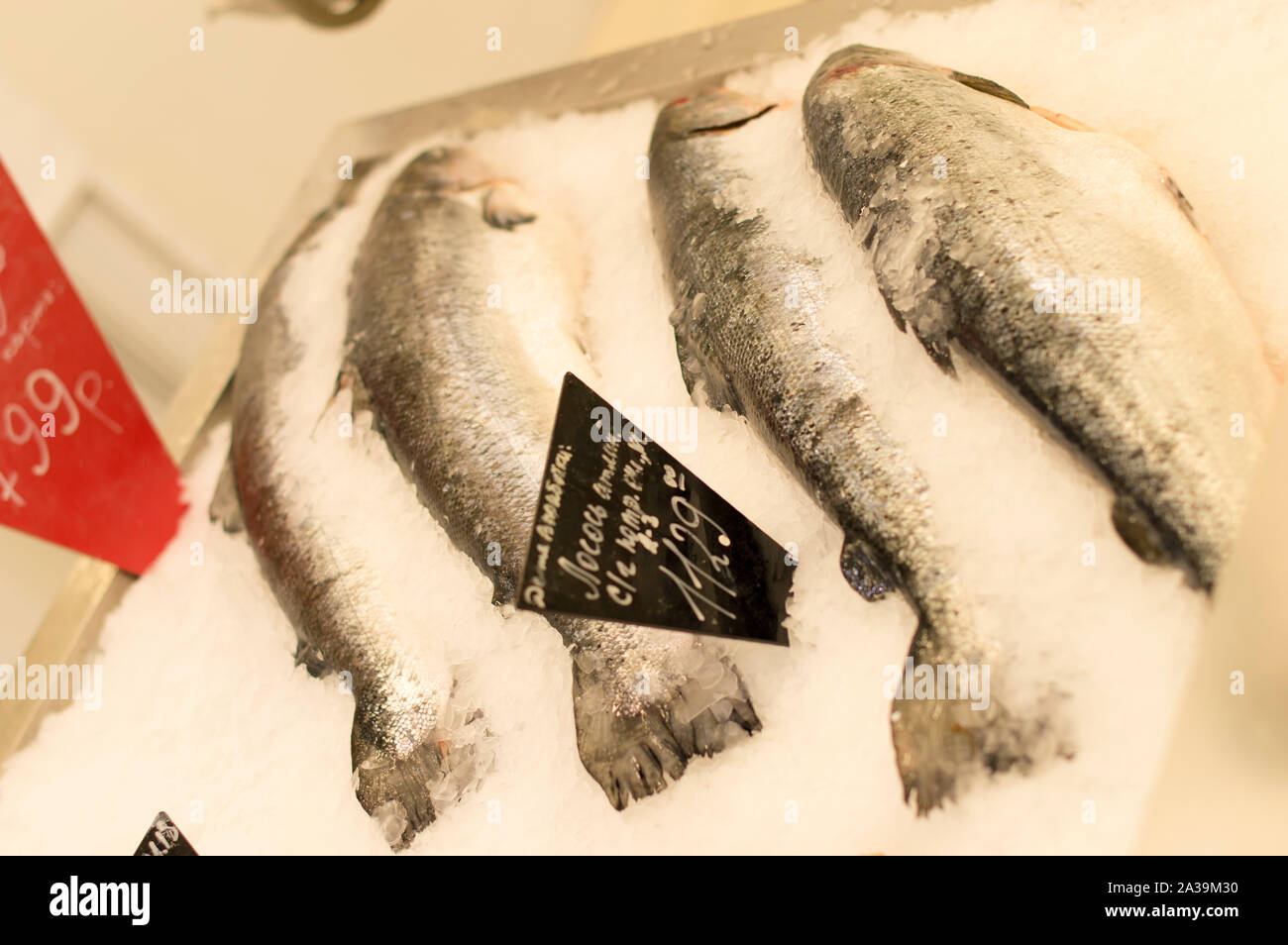 Sustainable fishing russia hi-res stock photography and images - Alamy