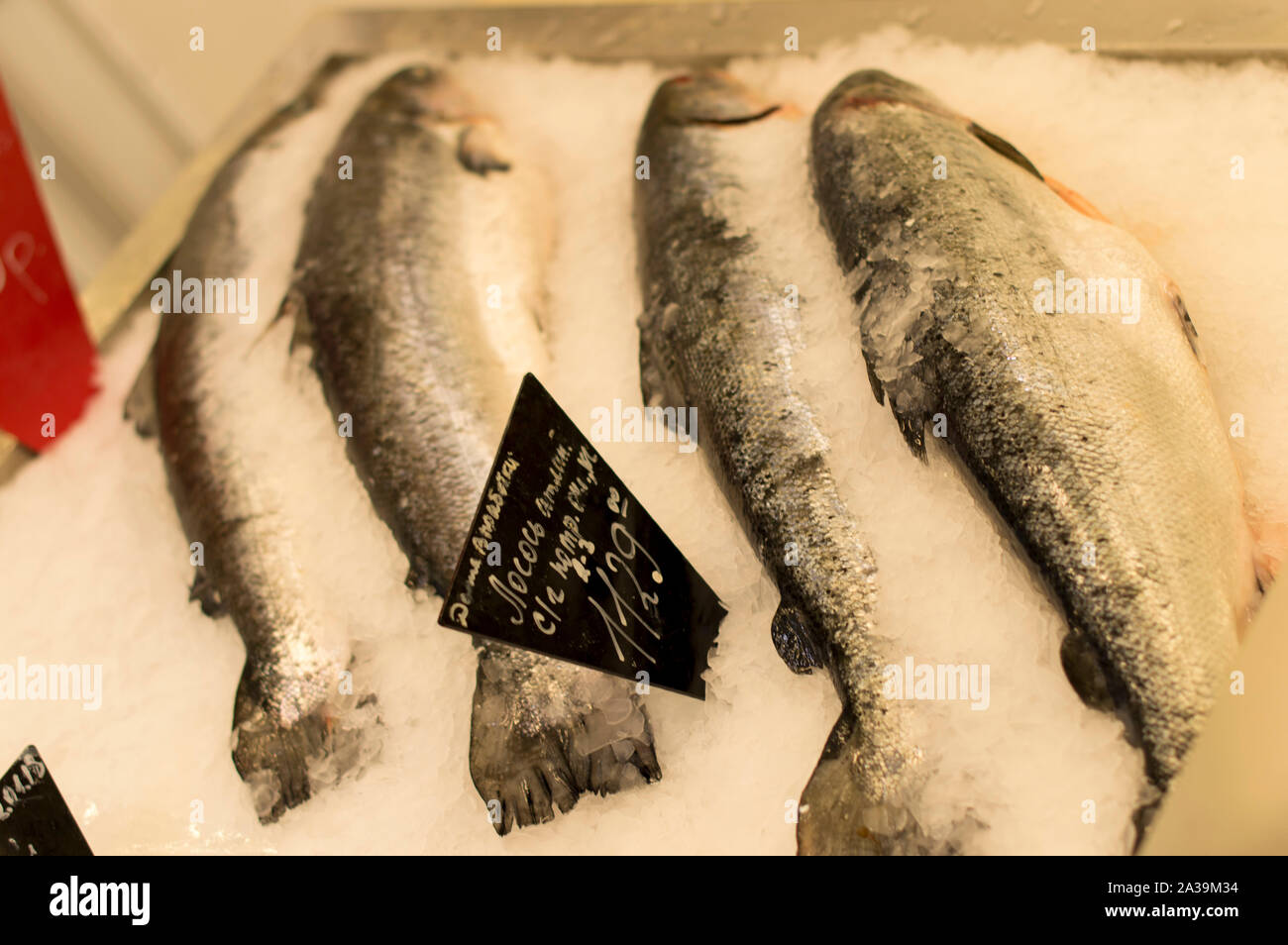 Sustainable fishing russia hi-res stock photography and images - Alamy