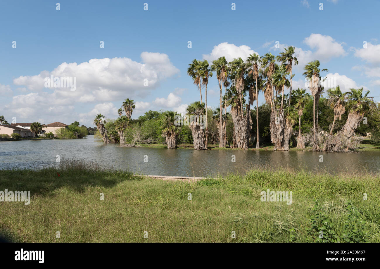 Scene along a winding, narrow lake in Brownsville, Texas Stock Photo ...