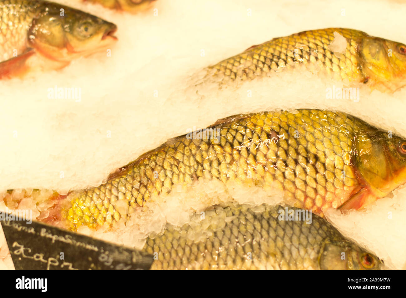 Frozen fish russia hi-res stock photography and images - Alamy