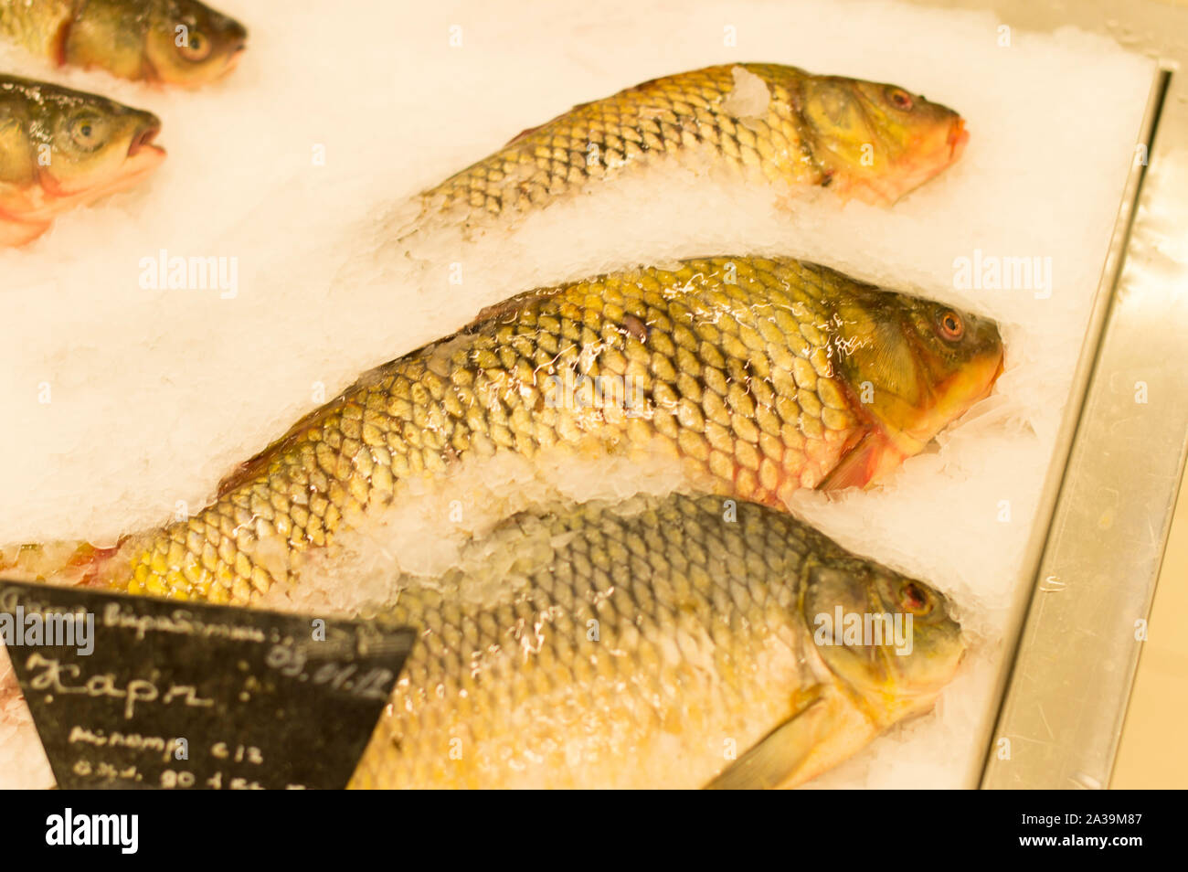 Frost carp fish hi-res stock photography and images - Alamy