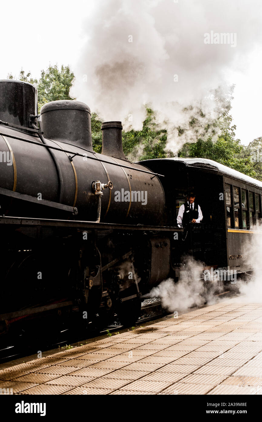 A conductor on a steam train puffing thick smoke Stock Photo - Alamy
