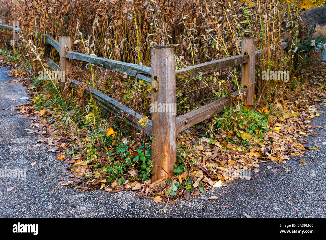 Beautiful forest path wooden fence hi-res stock photography and images ...