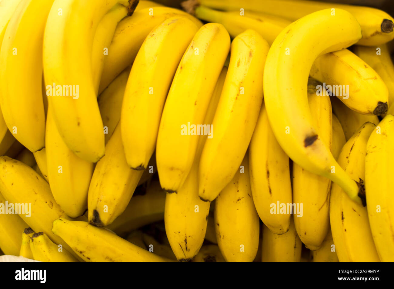 African bananas hi-res stock photography and images - Alamy