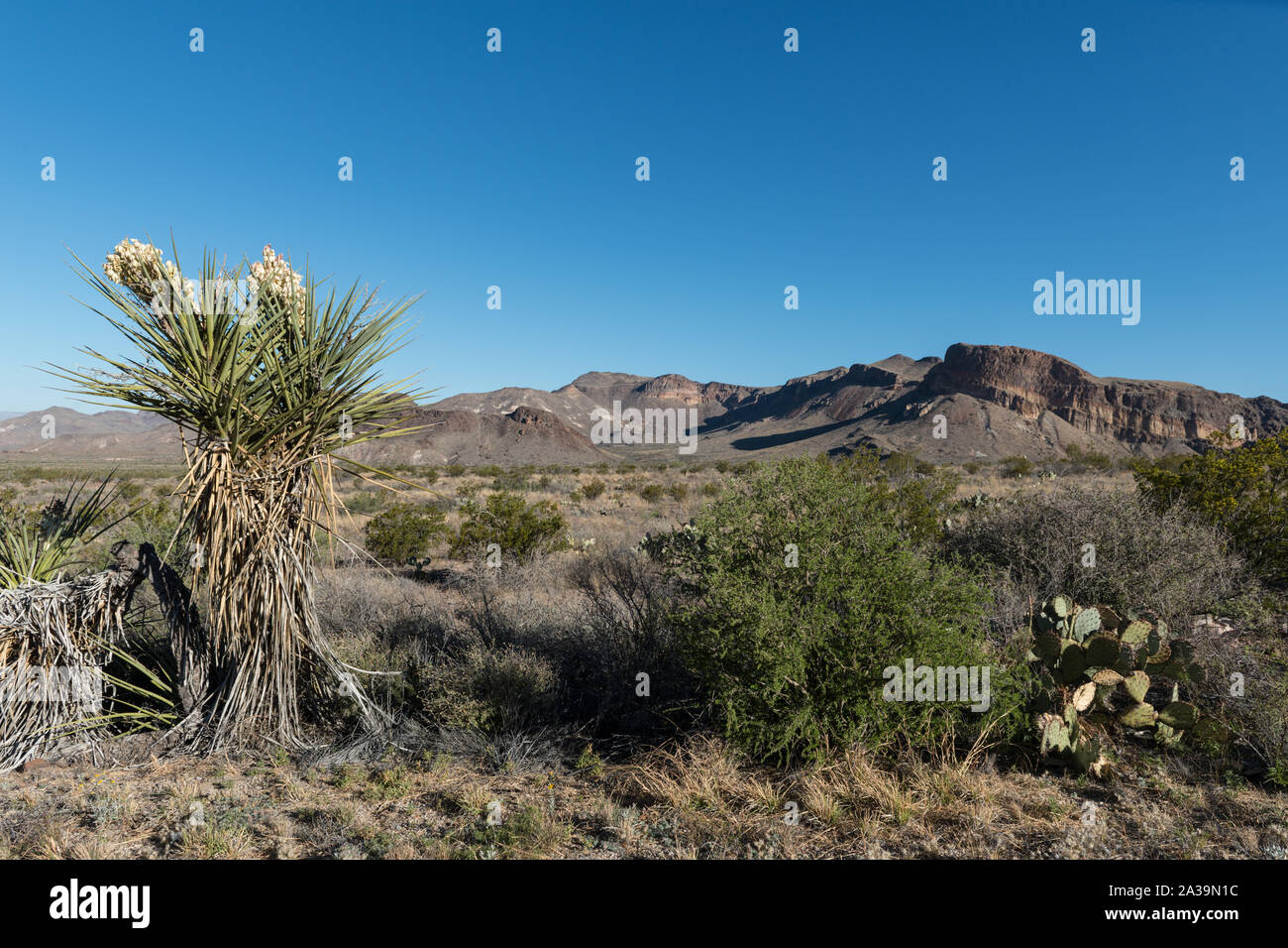 Scene from Big Bend National Park in Brewster County, Texas Stock Photo ...