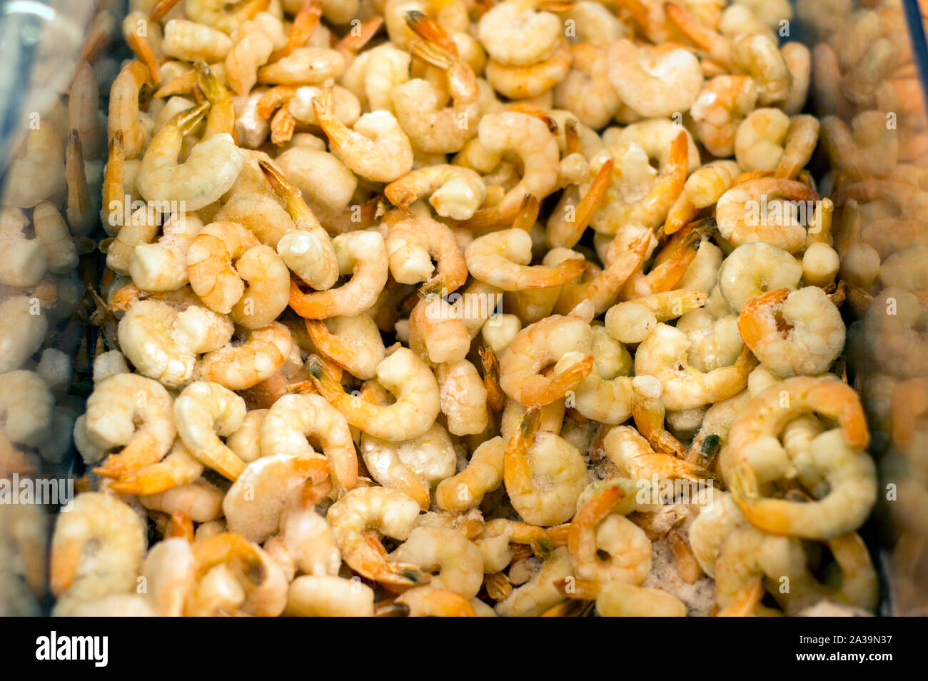 Tiger prawn fishing hi-res stock photography and images - Alamy