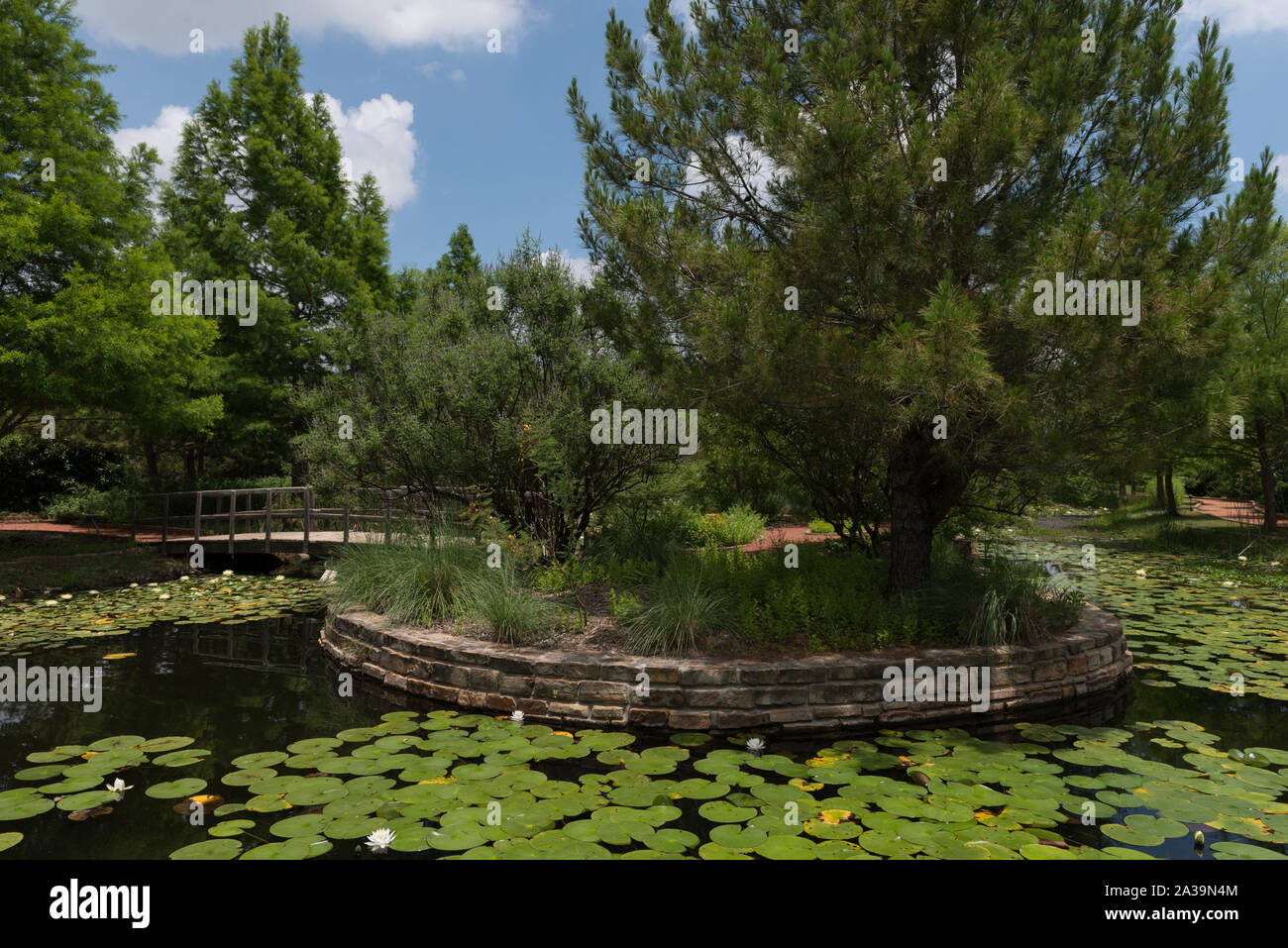 Scene from Clark Gardens Botanical Park in Mineral Wells, Texas Stock ...