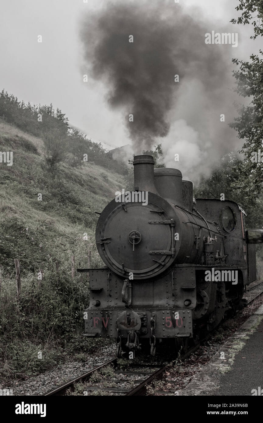 Approaching steam train puffing thick smoke into air Stock Photo - Alamy