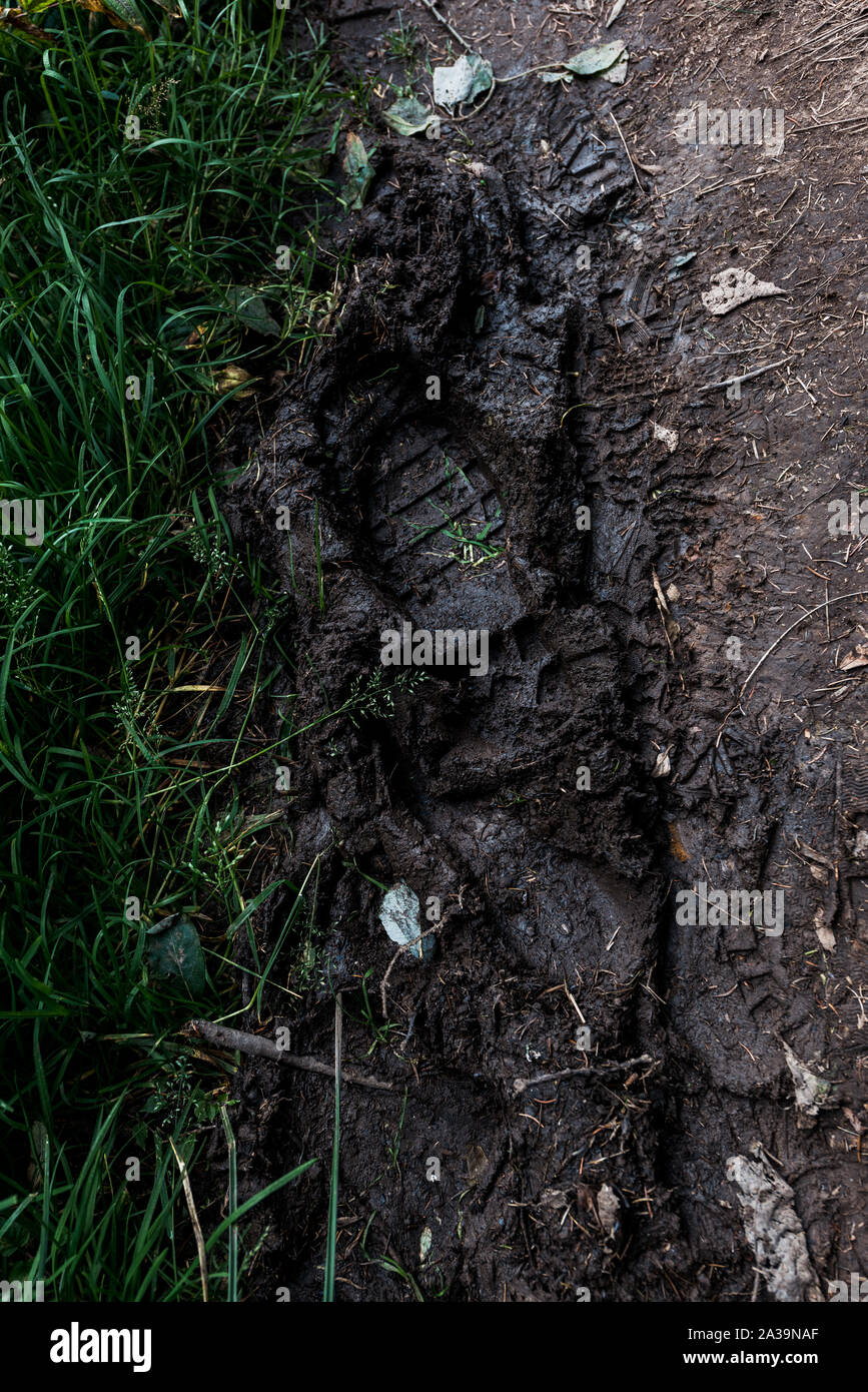 footprints on dirty ground with mud near green grass Stock Photo - Alamy