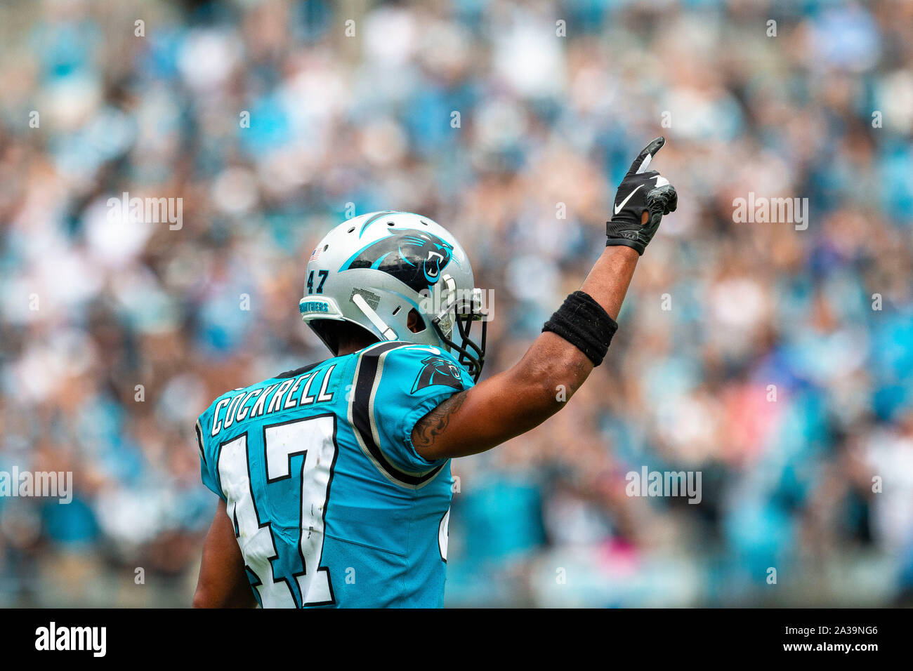 Jac ross hi-res stock photography and images - Alamy