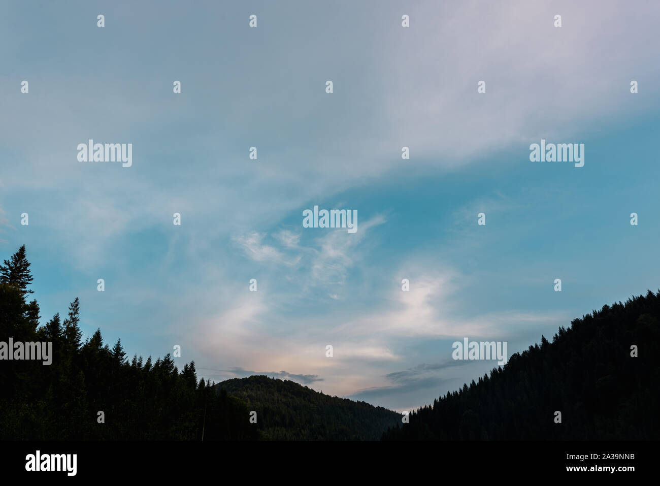evening sky with clouds near trees in woods Stock Photo - Alamy