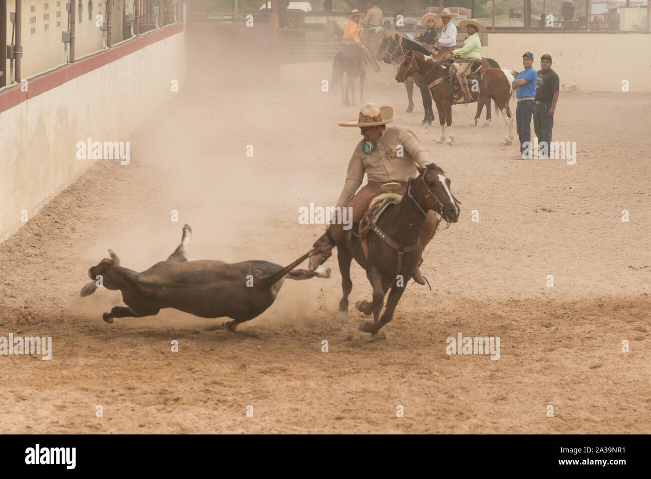 Charreria and texas hi-res stock photography and images - Alamy