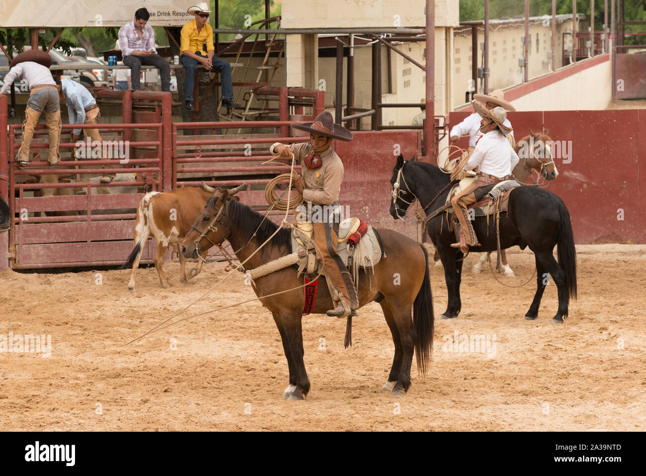 Charreria and texas hi-res stock photography and images - Alamy