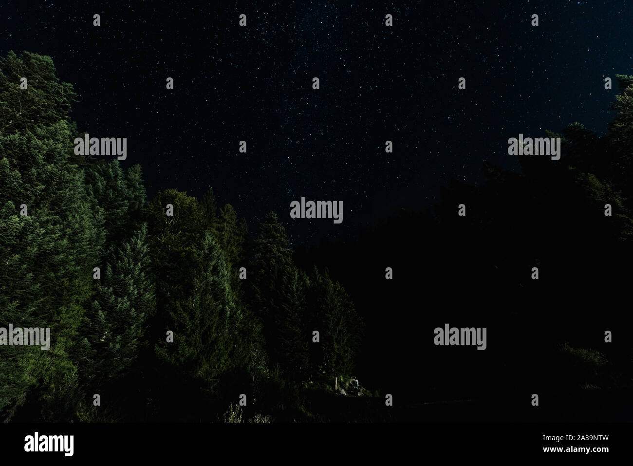 Tress night stars hi-res stock photography and images - Alamy