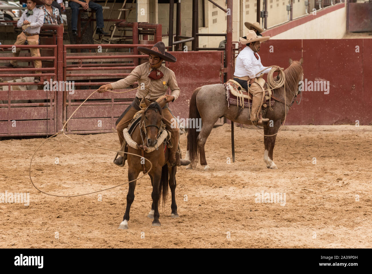 Scene from a Mexican-style rodeo, or Charreria, at A Day in Old Mexico ...