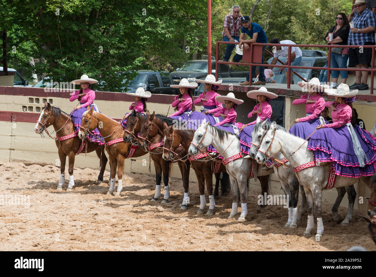 Charreria and texas hi-res stock photography and images - Alamy