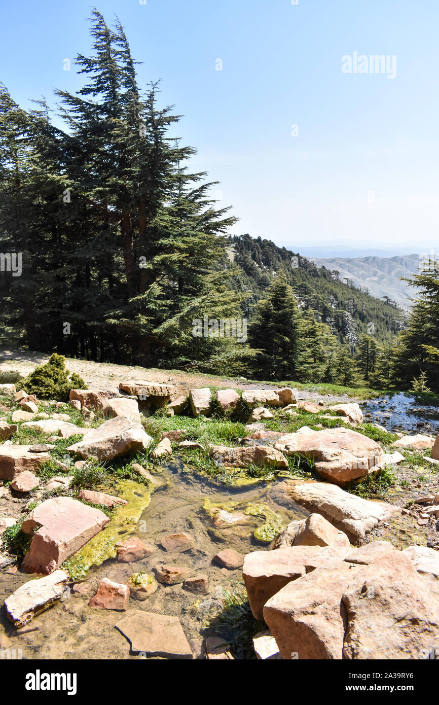 Chelia national park hi-res stock photography and images - Alamy