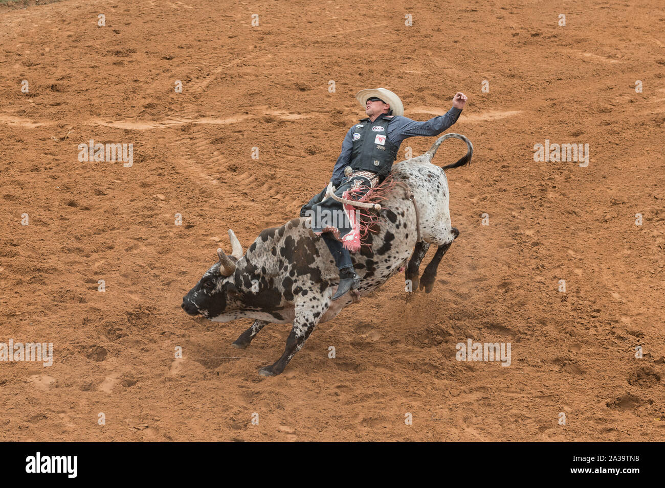 Scene from the Bad Company Rodeo, part of the annual Poteet Strawberry ...