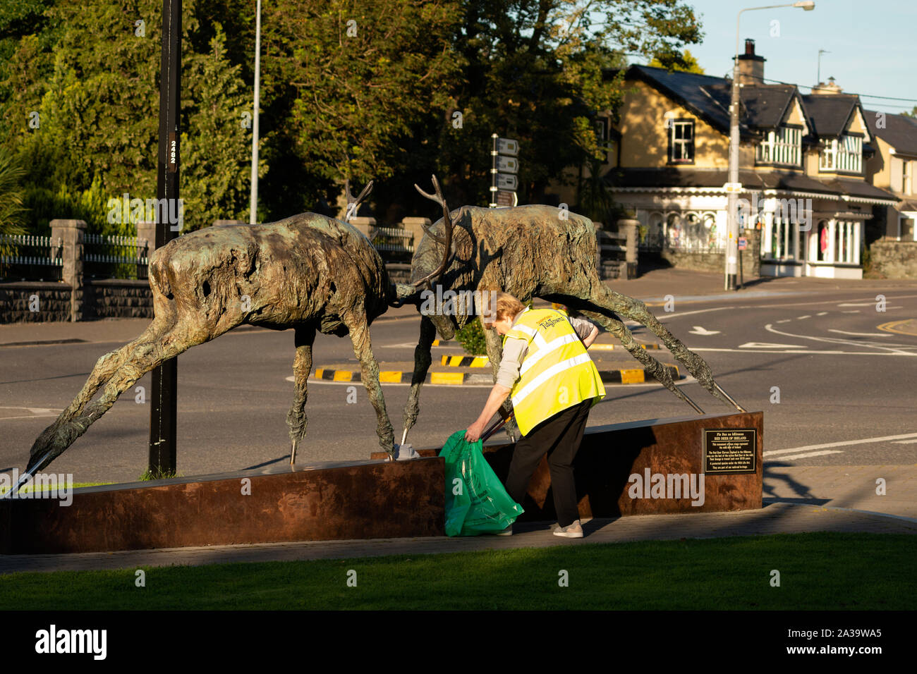 Tidy towns Ireland volunteering female senior volunteer cleaning up ...