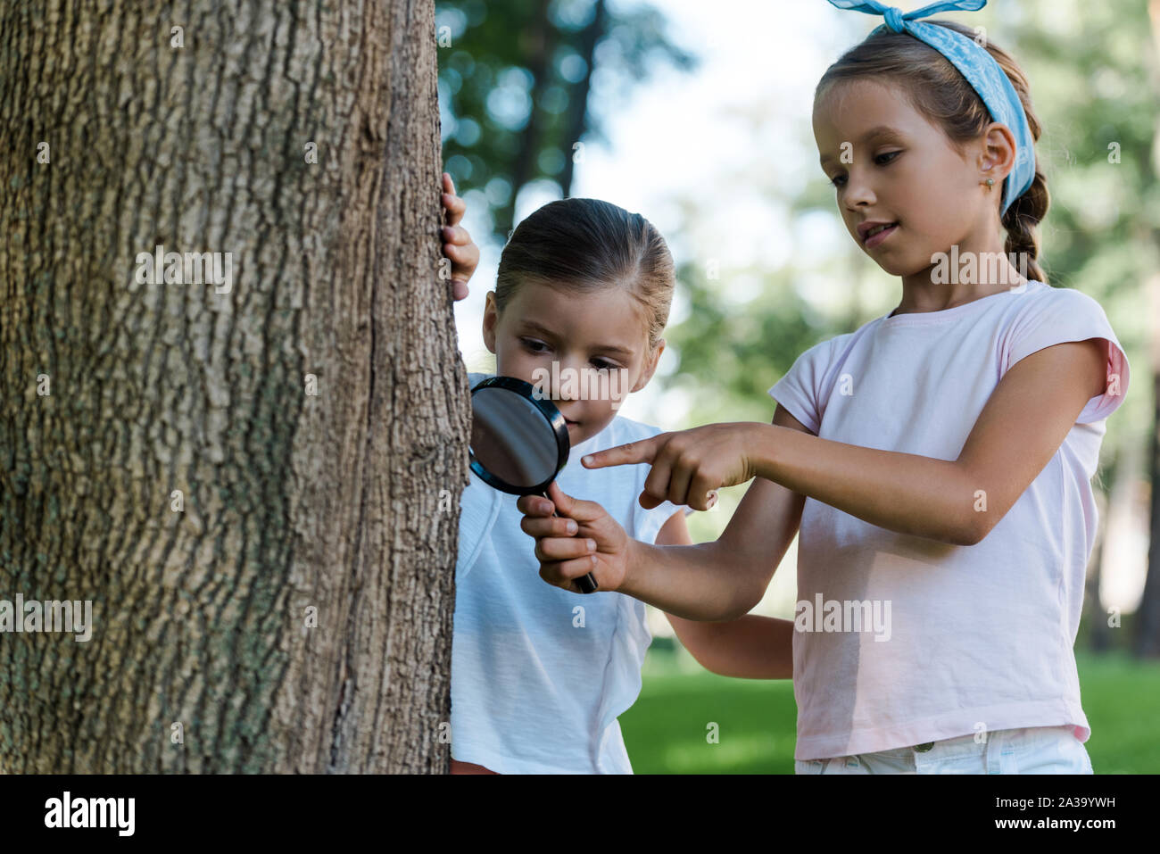 Finger pointing to tree hi-res stock photography and images - Alamy