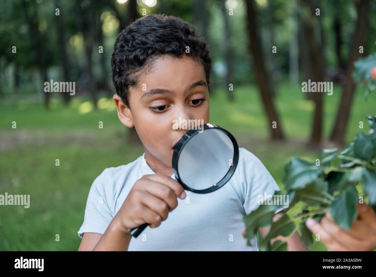 Child magnifying glass leaves hi-res stock photography and images - Alamy