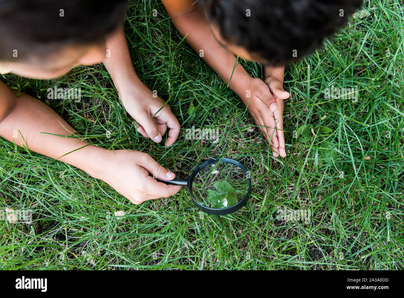 top view of multicultural boys lying on grass and looking through ...