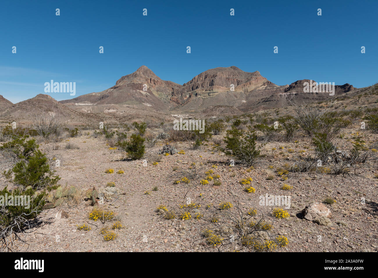 Scenery in Big Bend National Park in the Trans-Pecos region of Texas ...