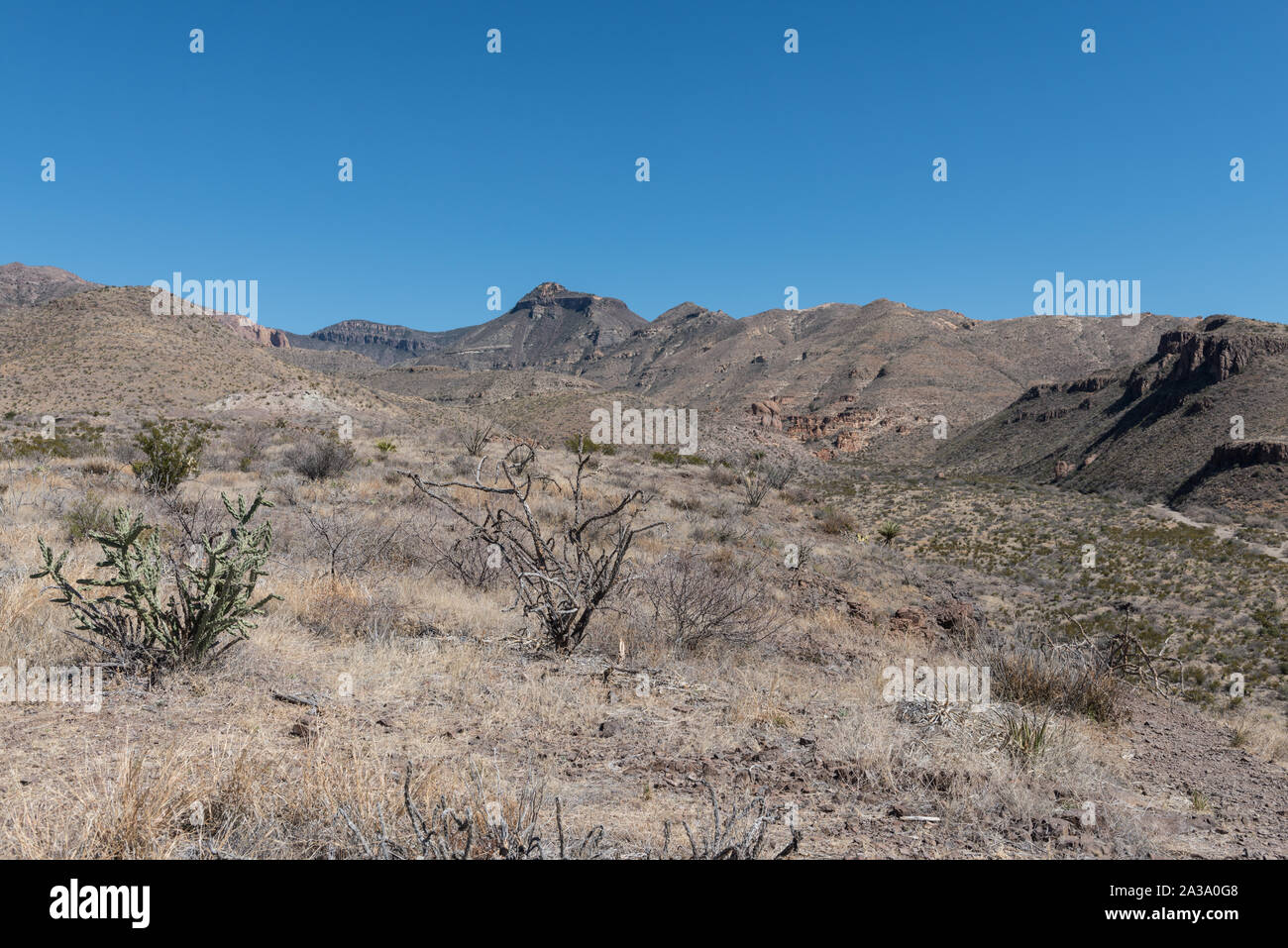 Scenery in Big Bend National Park in the Trans-Pecos region of Texas ...