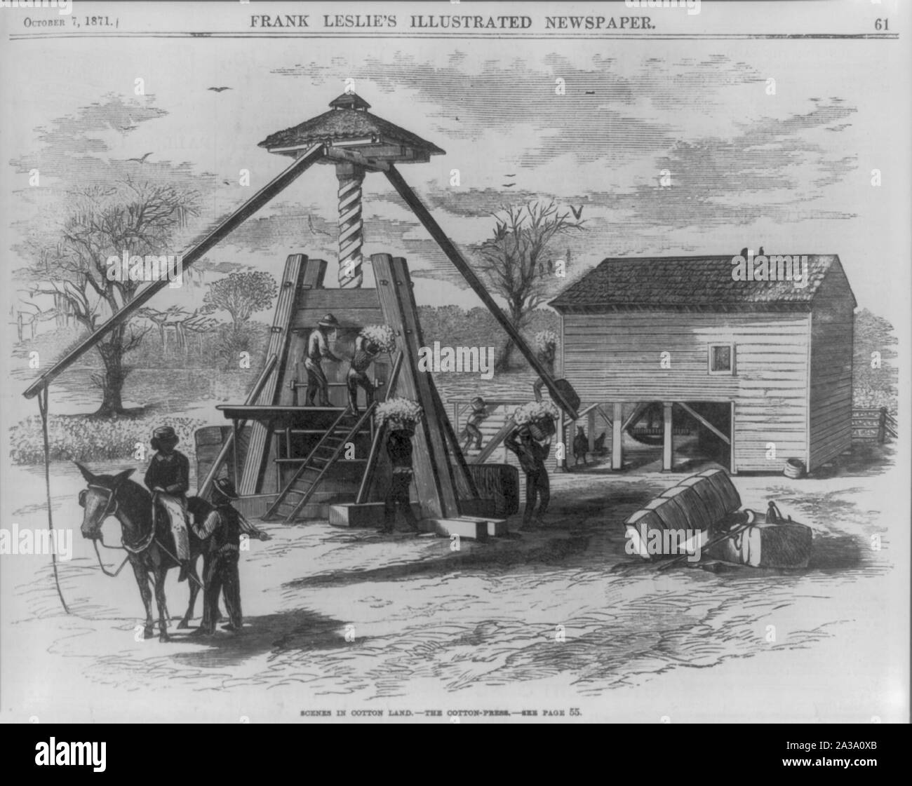 Cotton press hi-res stock photography and images - Alamy