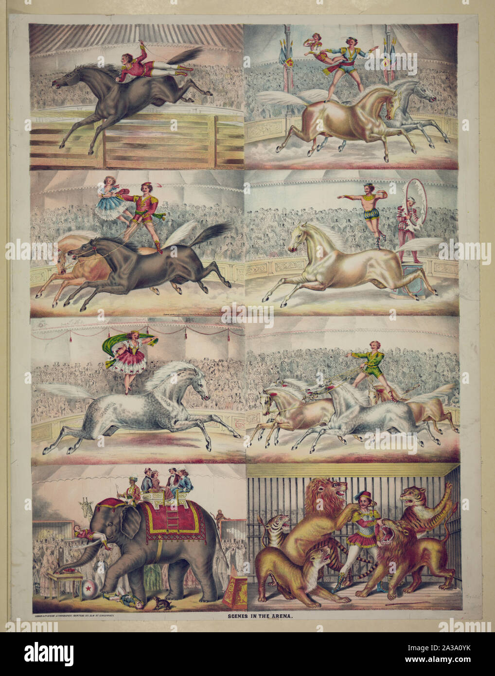 Scenes in the arena Stock Photo - Alamy