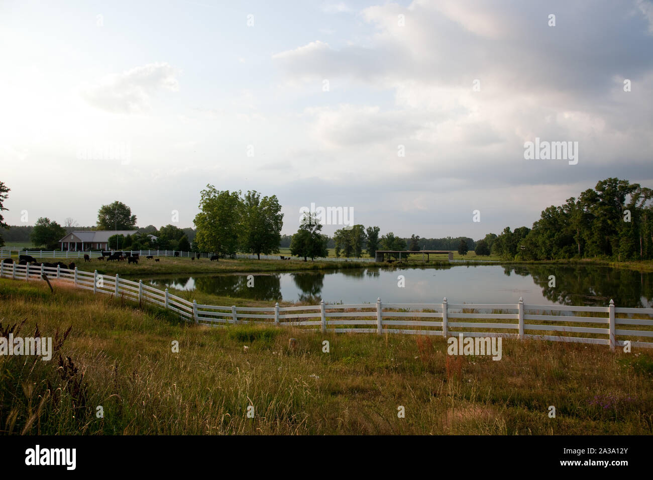 Scenic farm scene in Monroe County, Alabama Stock Photo - Alamy