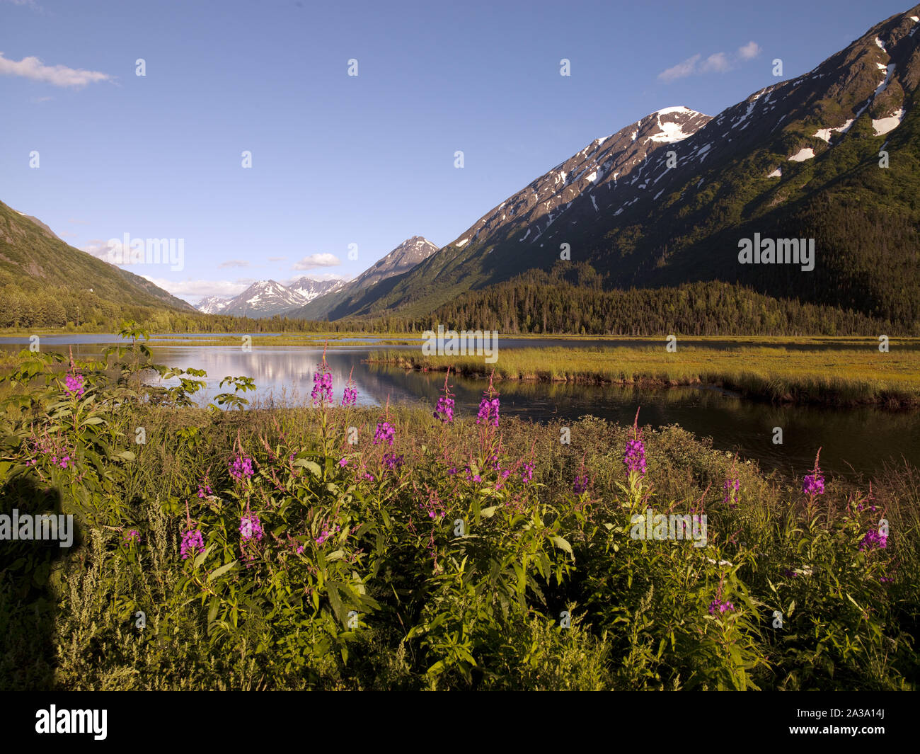 Scenic view from the Seward highway in the Chugach National Forest ...