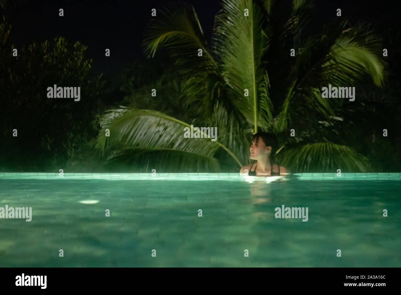 A luxury infinity pool in a tropical resort Stock Photo - Alamy