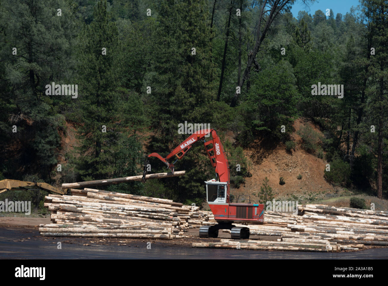 Scenic view: logging in Northeast California Stock Photo - Alamy