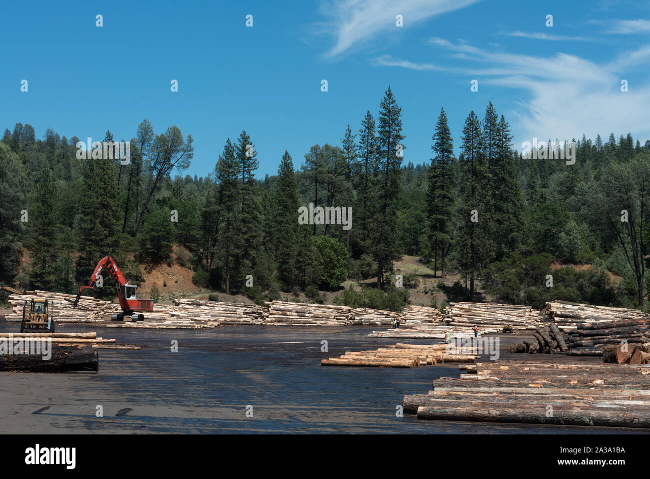 Scenic view: logging in Northeast California Stock Photo - Alamy
