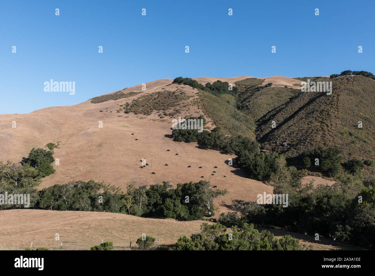 Scenic views along route 46 in California Stock Photo - Alamy