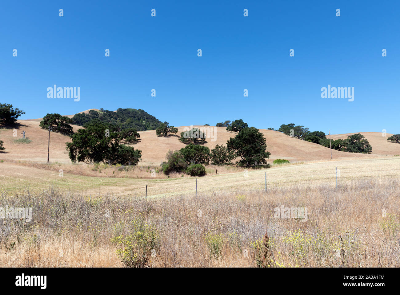 Scenic views along route 46 in California Stock Photo - Alamy