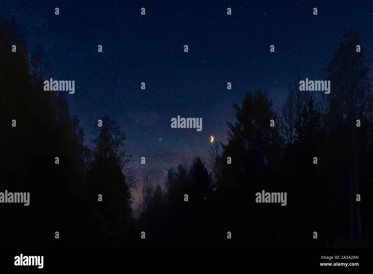 Beautiful romantic sunset, moon and bright stars in dark blue sky Stock ...