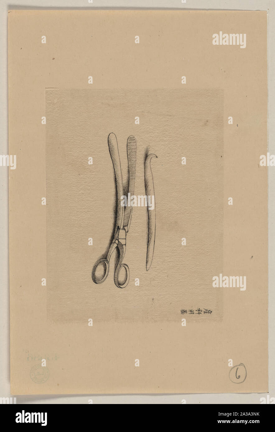 Scissor clamps and hooked probe Stock Photo - Alamy