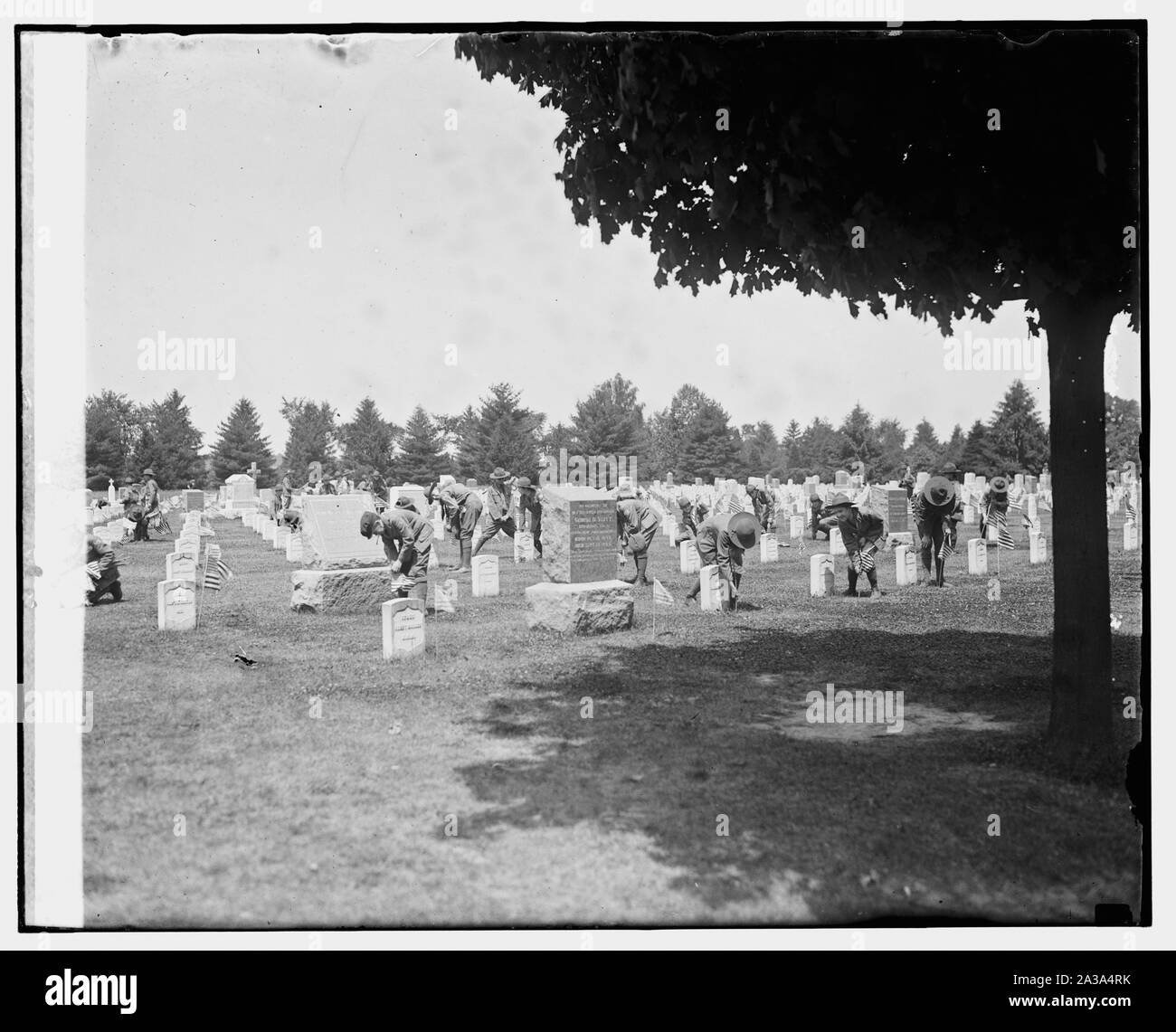 Scouts in Confederate section of Arlington, 5/28/25 Stock Photo - Alamy