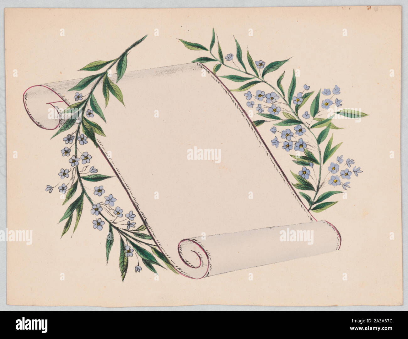 Scroll design with branches and blue flowers Stock Photo - Alamy