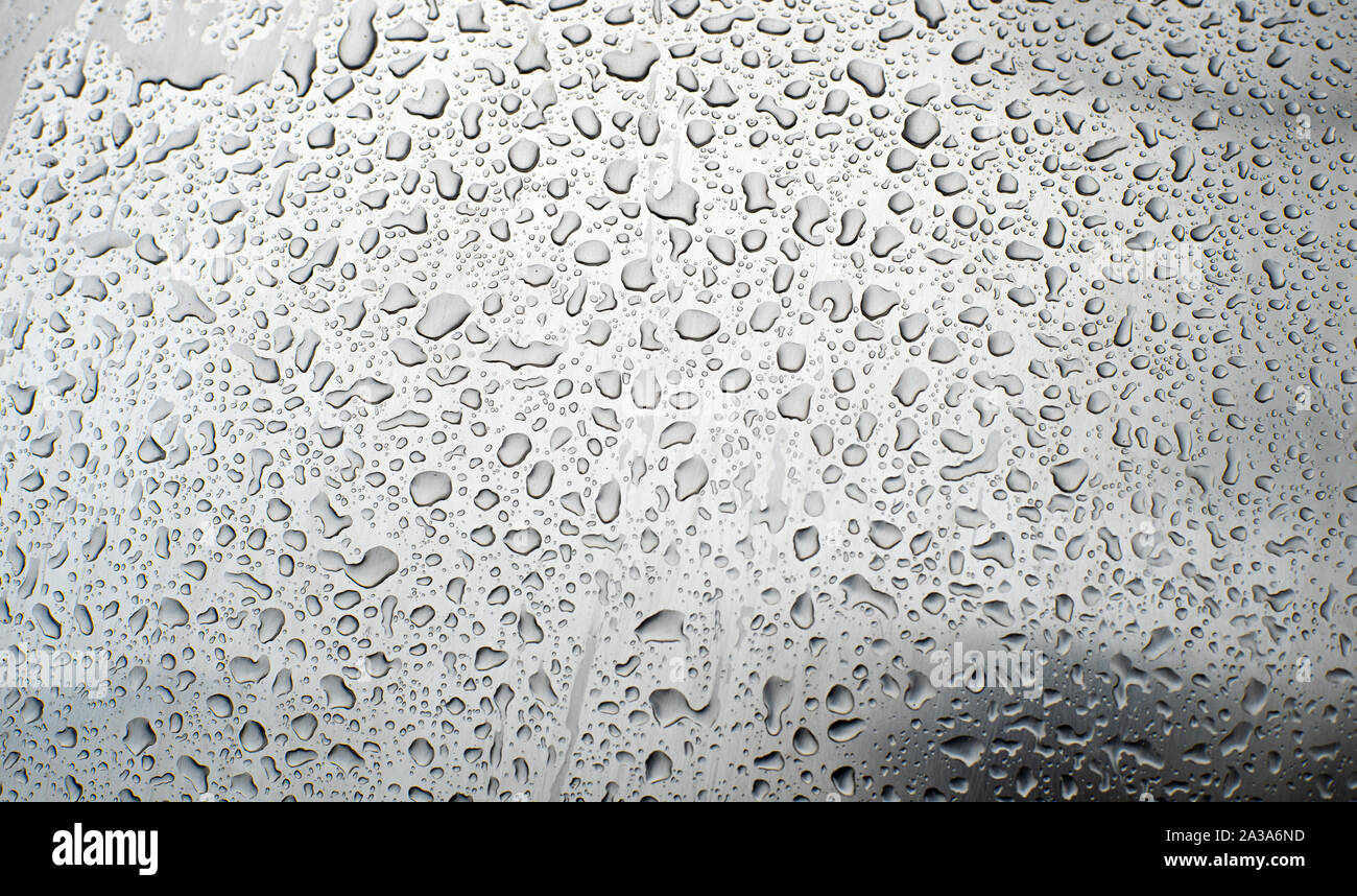 Shiny, metallic background, covered with water drops. Texture of water ...