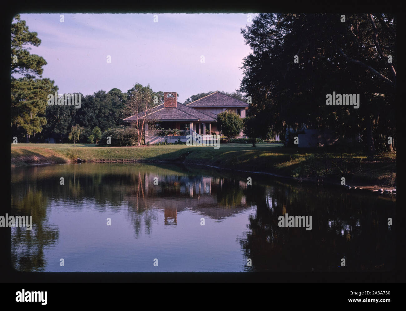 The sea pines plantation hi-res stock photography and images - Alamy