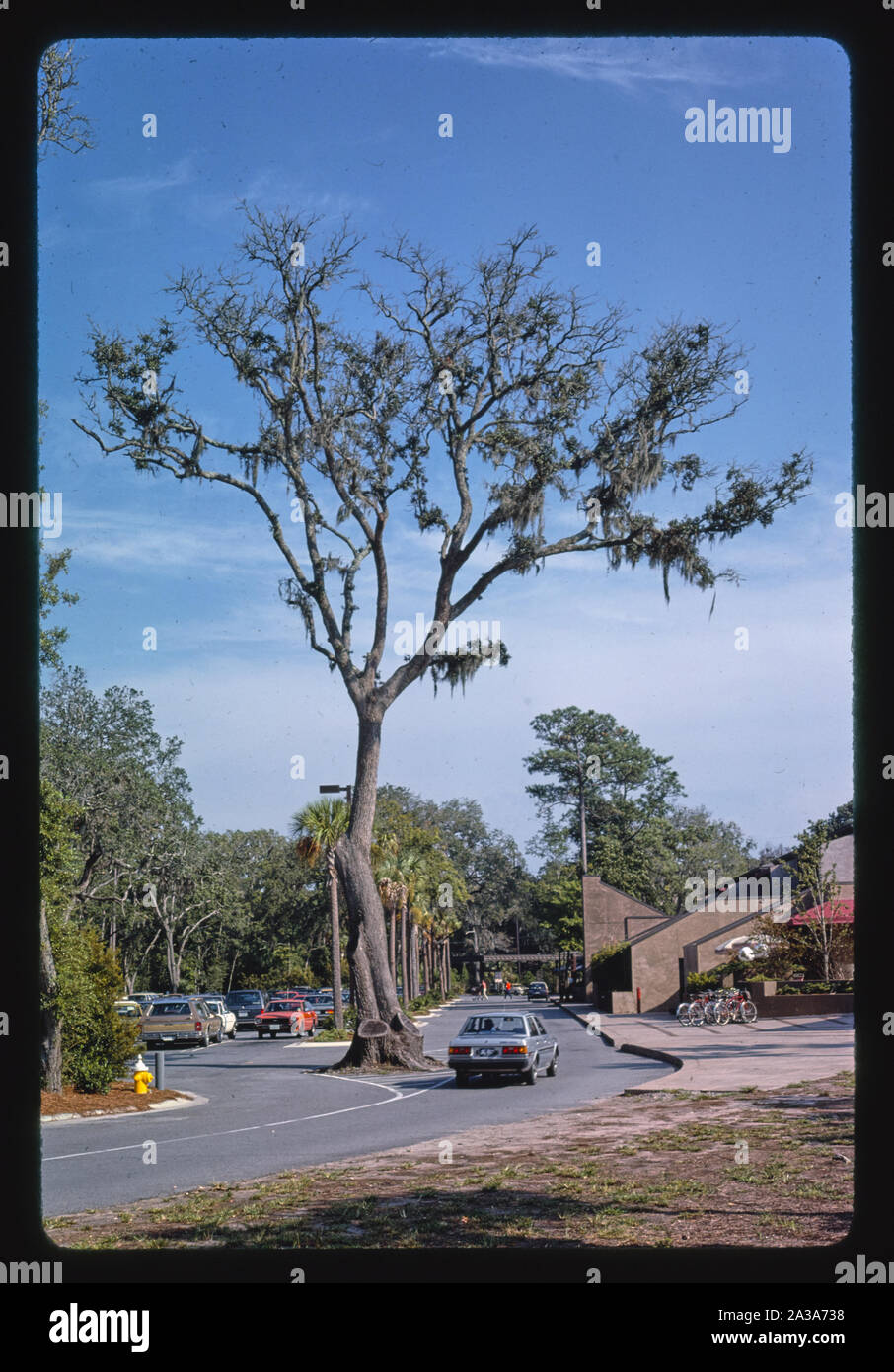 Sea Pines Plantation, Hilton Head Island, South Carolina Stock Photo ...
