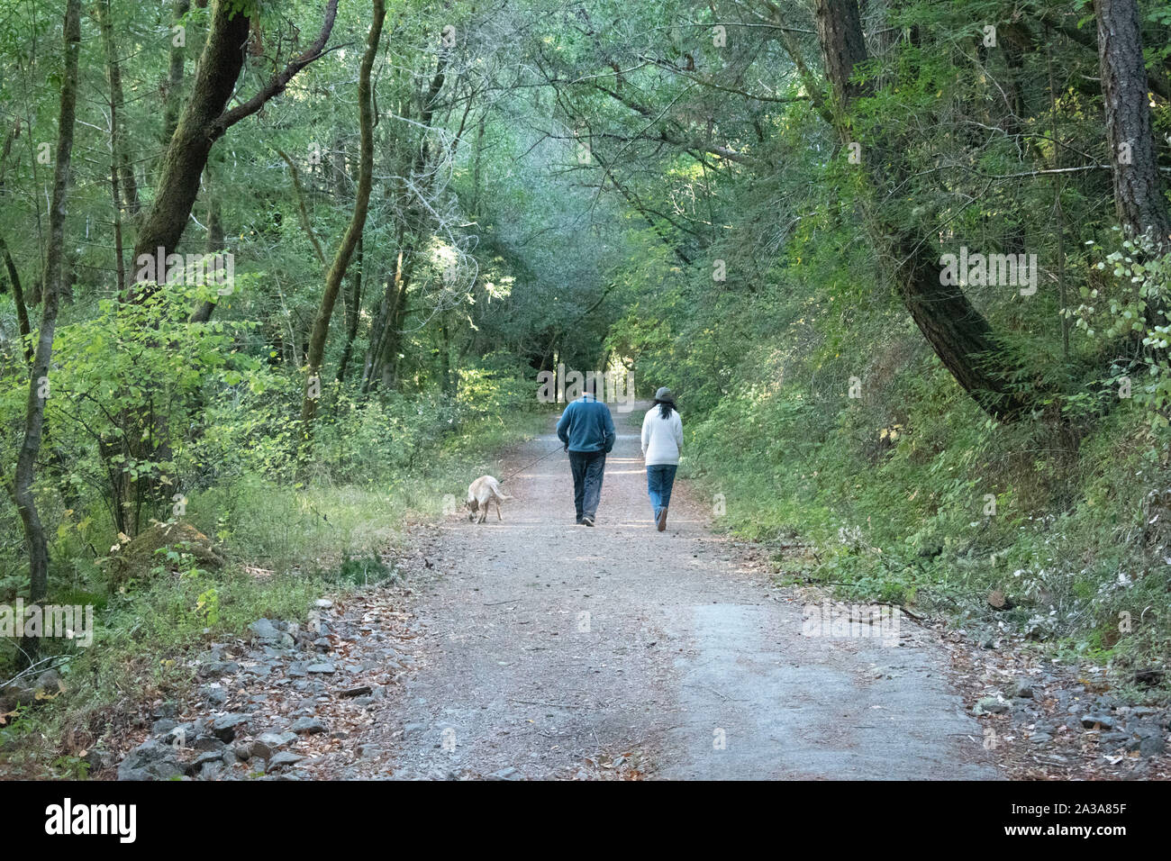 A couple takes a walk in Samuel P. Taylor State Park in California ...
