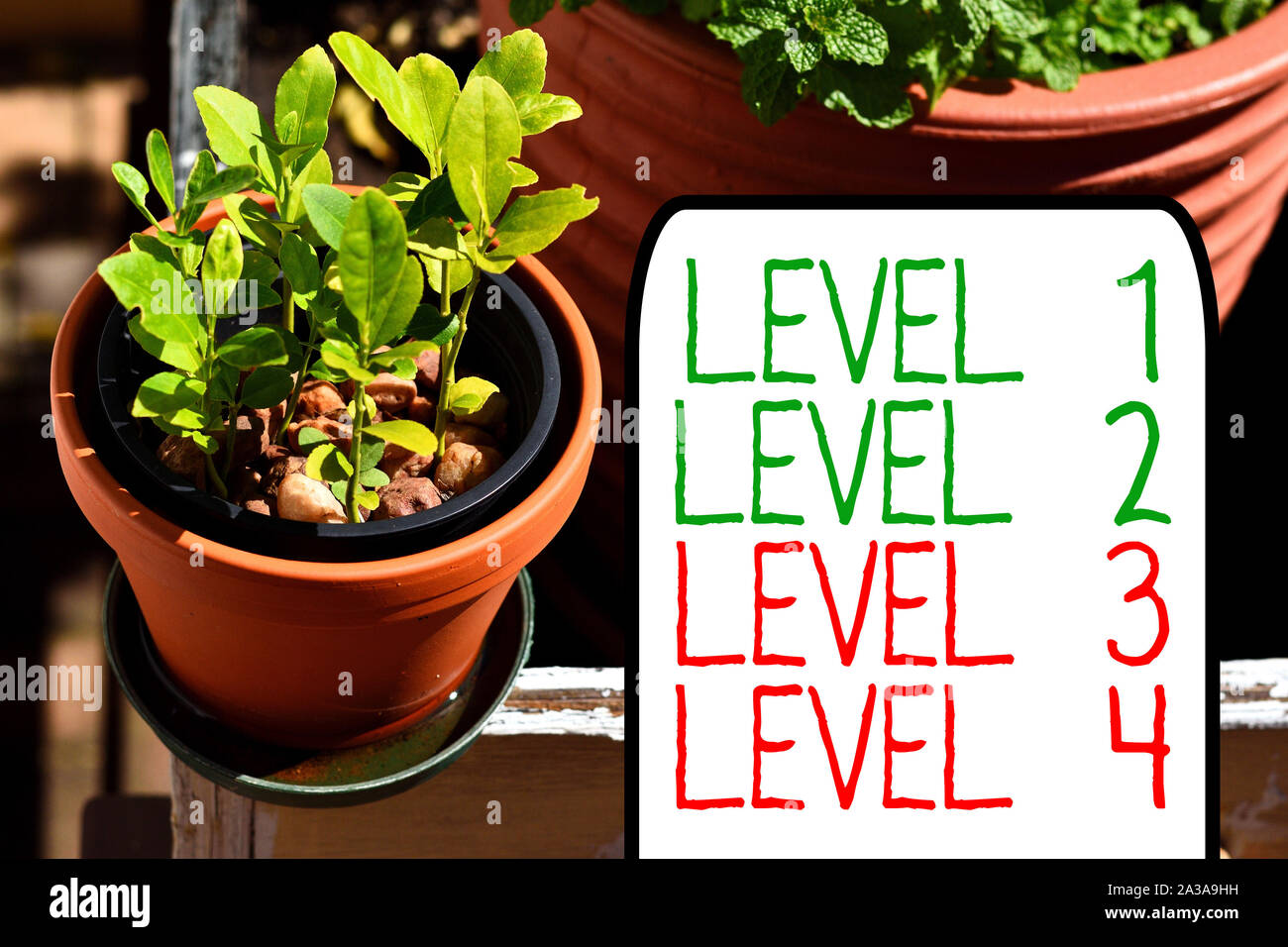 Writing note showing Level 1, 2, 3 and 4. Business concept for Steps ...
