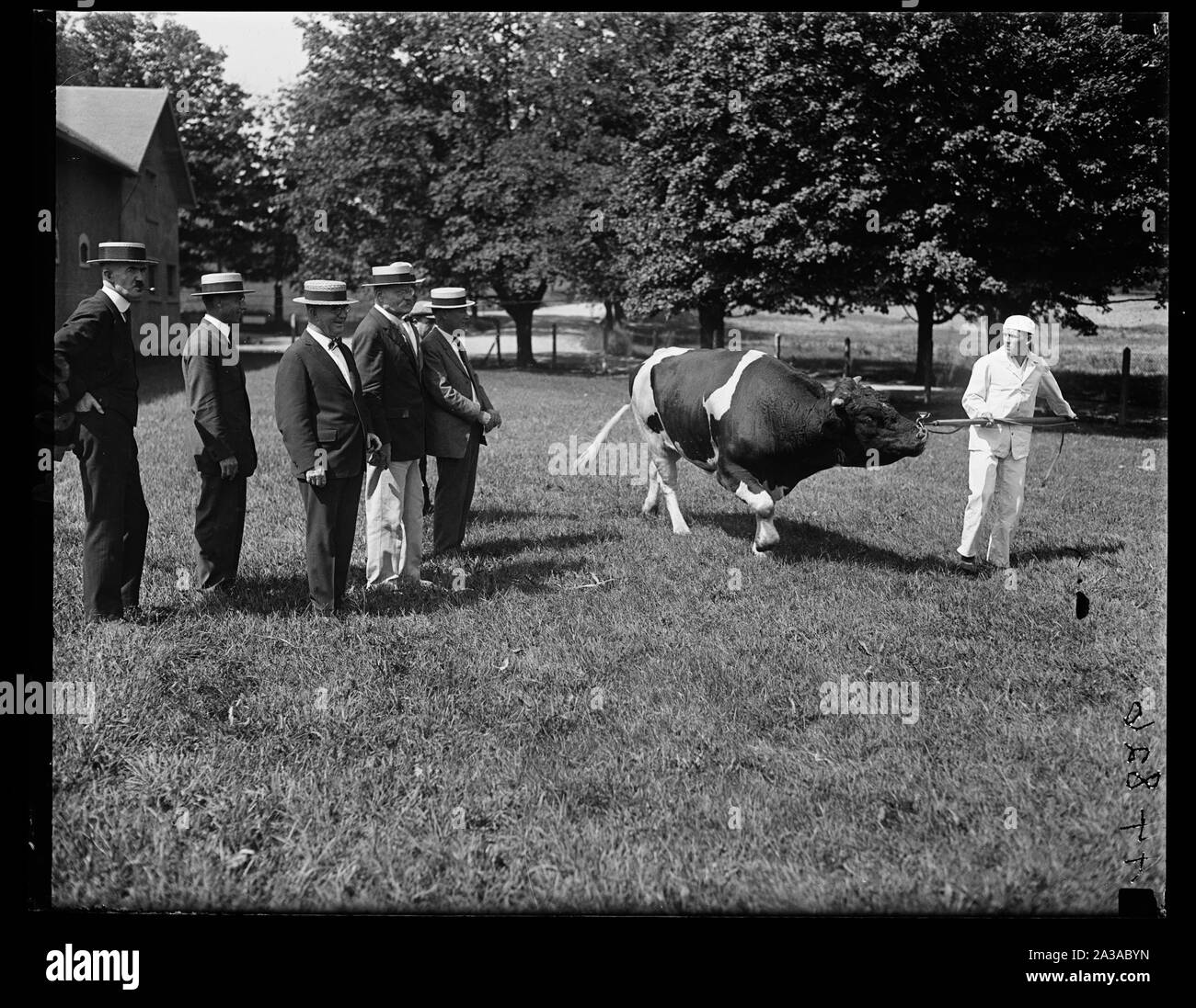 Inspector gen hi-res stock photography and images - Alamy